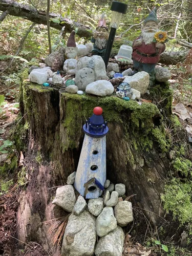 2023 Best Bird Watching Trails in Assonet | AllTrails