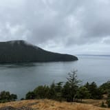 Washington Park Loop Road, Washington - 1,742 Reviews, Map | AllTrails
