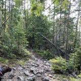 Cyprus Lake Trail, Ontario, Canada - 314 Reviews, Map | AllTrails