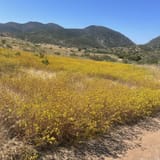 Grasslands Loop Trail, California - 1,408 Reviews, Map | AllTrails