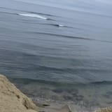 Sunset Cliffs Park Trail, California - 576 Reviews, Map | AllTrails