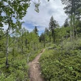 Button Rock Mountain Loop, Colorado - 663 Reviews, Map | AllTrails