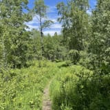 Empire Mine via Samelius Trailhead, South Dakota - 309 Reviews, Map ...