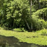 Mashpee River Woodlands North Trail, Massachusetts - 594 Reviews, Map ...