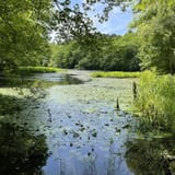 Mashpee River Woodlands North Trail, Massachusetts - 594 Reviews, Map ...