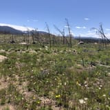 Colorado River and River Run Trail, Colorado - 451 Reviews, Map | AllTrails