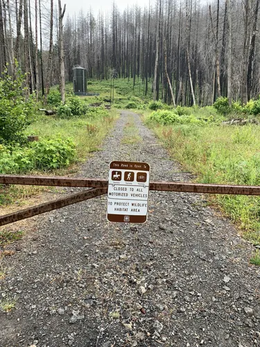 Best Hikes and Trails in Vida | AllTrails