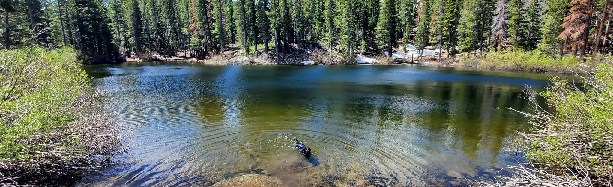 Hidden Lake Trail Loop, Nevada - 27 Reviews, Map | AllTrails