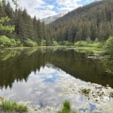 Two Lakes Trail, Alaska - 380 Reviews, Map | AllTrails