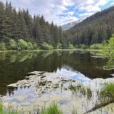 Two Lakes Trail, Alaska - 380 Reviews, Map | AllTrails