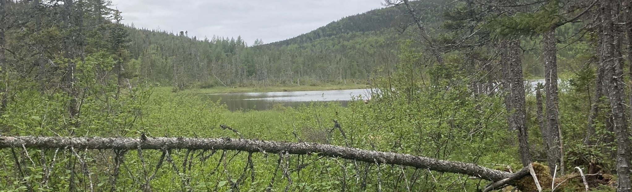 Wigwam Trail: 4 Reviews, Map - Newfoundland and Labrador, Canada ...