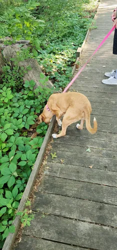 Best Hikes and Trails in Bradner Preserve | AllTrails