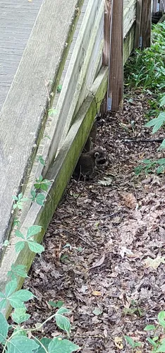 Best Hikes and Trails in Bradner Preserve | AllTrails