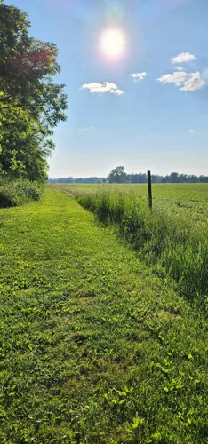 Best Hikes and Trails in Bradner Preserve | AllTrails