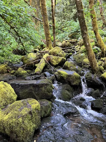 Best Hikes and Trails in Molalla River Corridor Recreation Area | AllTrails