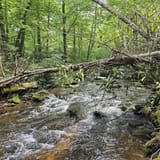 The Boogerman Trail, North Carolina - 434 Reviews, Map | AllTrails