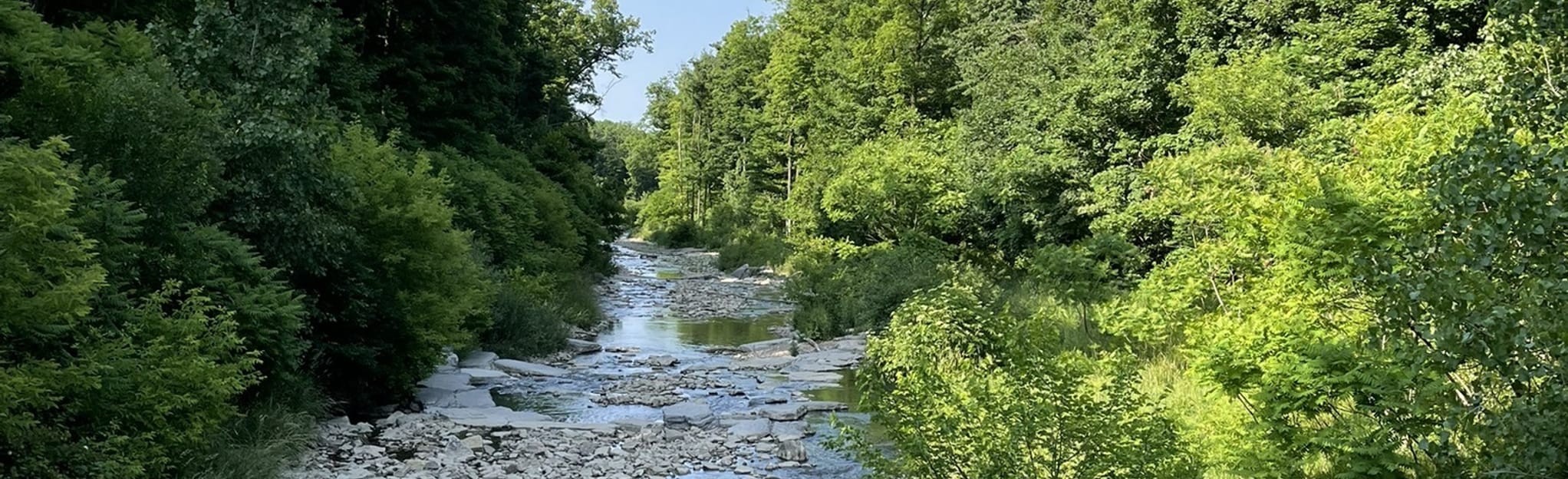 Mountain Brow via King's Forest: 1.408 foto's - Ontario, Canada | AllTrails
