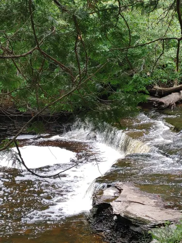 2023 Best River Trails in Rapid River | AllTrails