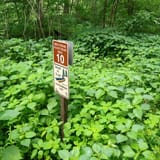 Red Cedar State Trail, Wisconsin - 215 Reviews, Map | AllTrails