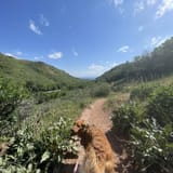 Red Butte Canyon Overlook, Utah - 343 Reviews, Map | AllTrails