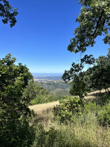 Best Hikes and Trails in Fremont Peak State Park | AllTrails