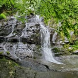 Jones Run Falls Trail, Virginia - 722 Reviews, Map | AllTrails