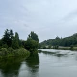 Green River Trail, Washington - 198 Reviews, Map | AllTrails