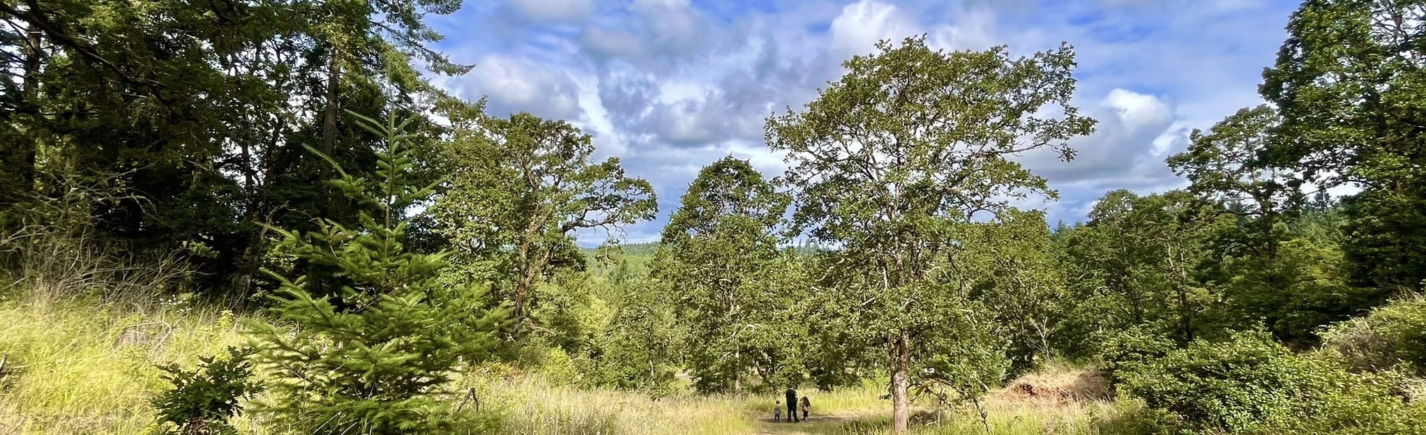 Trappist Abbey Guadalupe Loop, Oregon - 1,221 Reviews, Map | AllTrails