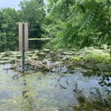 Pequest Wildlife Management Area Trails, New Jersey - 64 Reviews, Map ...