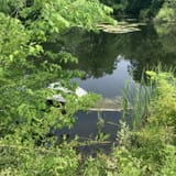 Pequest Wildlife Management Area Trails, New Jersey - 64 Reviews, Map ...