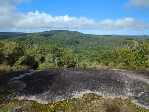 Best Hikes and Trails in Paluma State Forest | AllTrails