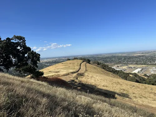 Best Kid Friendly Trails in Lagoon Valley Park/Pena Adobe Park | AllTrails