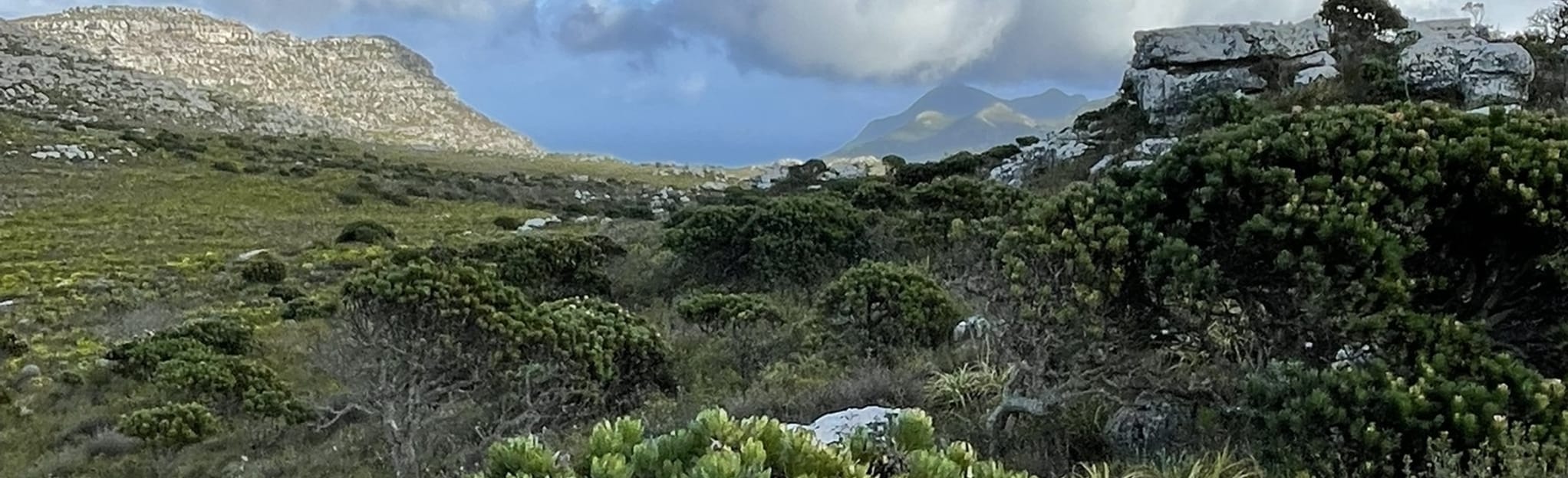 Muizenberg Trail 2021, Western Cape, South Africa - 3 Reviews, Map ...