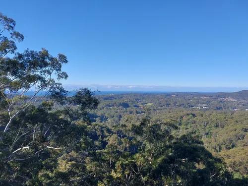 Best Hikes and Trails in Katandra Reserve | AllTrails