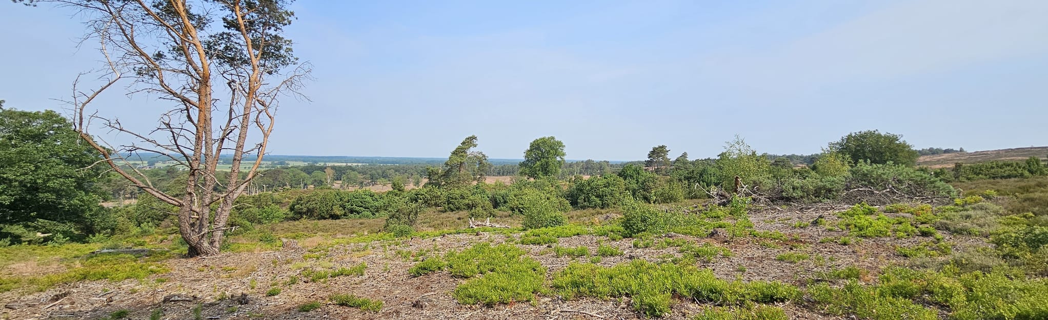 Lemelerberg - Archemerberg: 220 Fotos - Provinz Overijssel, Niederlande ...