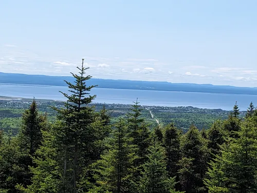 Best Forest Trails in Kippens | AllTrails