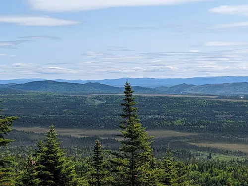 Best Forest Trails in Kippens | AllTrails