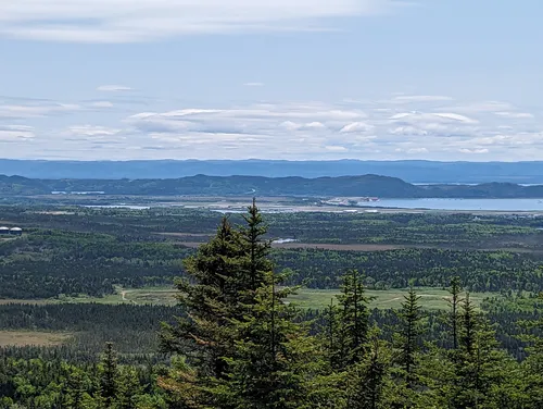 Best Forest Trails in Kippens | AllTrails