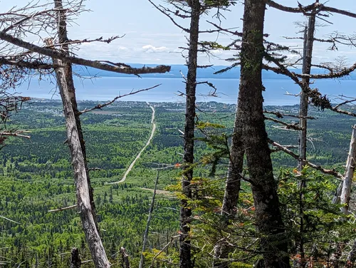 Best Forest Trails in Kippens | AllTrails