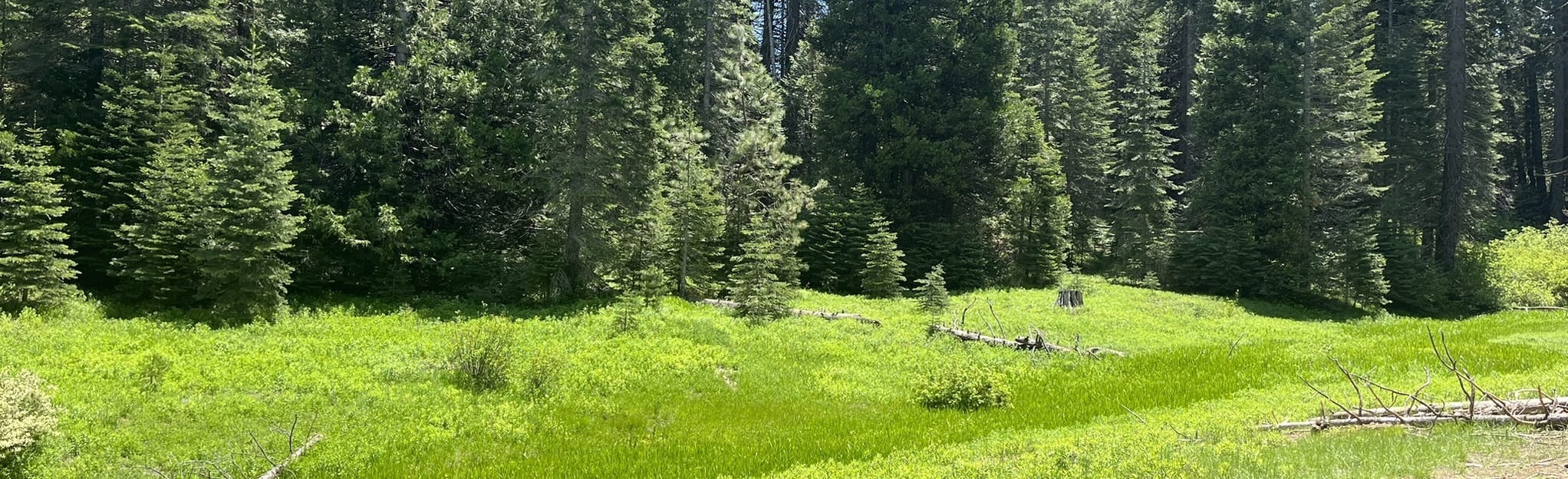 Right Meadow and Left Meadow Trails Loop: 89 foto's - Californië ...