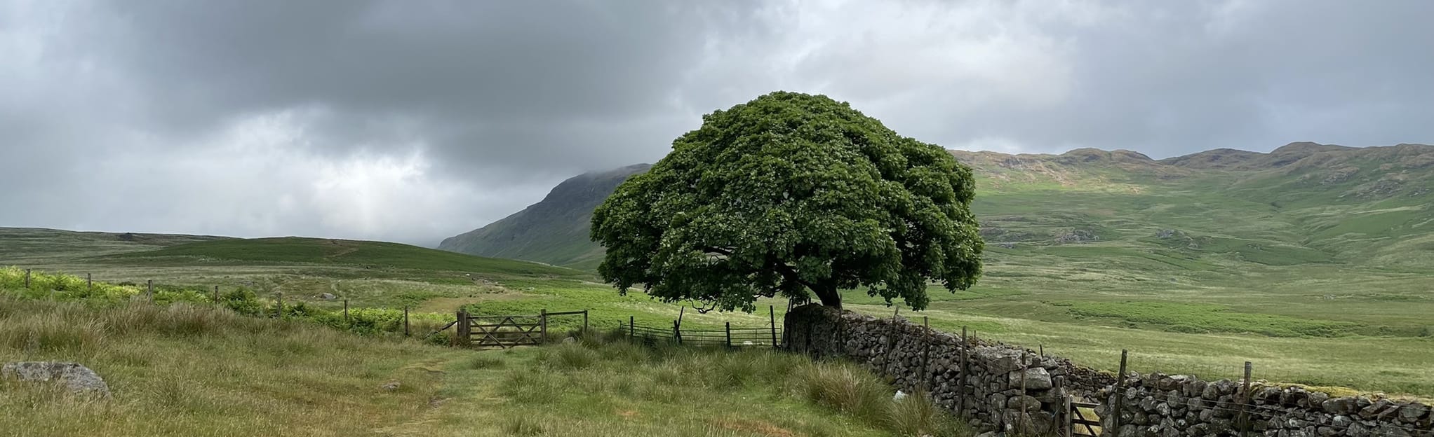 Boot to Burnmoor Tarn, Cumbria, England - 31 Reviews, Map | AllTrails