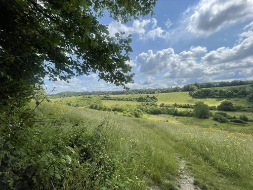 10 Best Hikes and Trails in Kent Downs National Landscape (AONB ...