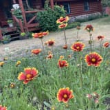 Rocori Trail, Minnesota - 36 Reviews, Map | AllTrails