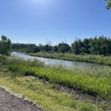 South Platte River Trail, Colorado - 939 Reviews, Map | AllTrails