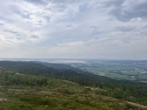 2023 Best 10 Wild Flowers Trails in Verdal | AllTrails