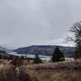 Catherine Creek Arch Loop, Washington - 889 Reviews, Map | AllTrails