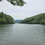 Old Loggers and Stony Trail Loop, Pennsylvania - 54 Reviews, Map ...