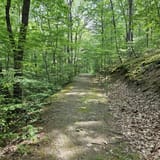 Old Loggers and Stony Trail Loop, Pennsylvania - 54 Reviews, Map ...