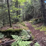 Red Spruce Knob, West Virginia - 213 Reviews, Map | AllTrails