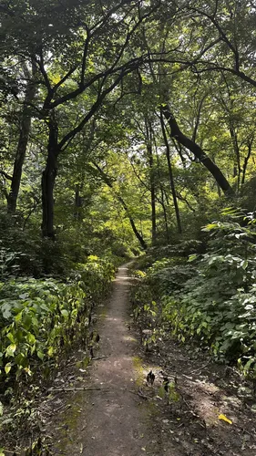 10 Best Trails and Hikes in Topeka | AllTrails